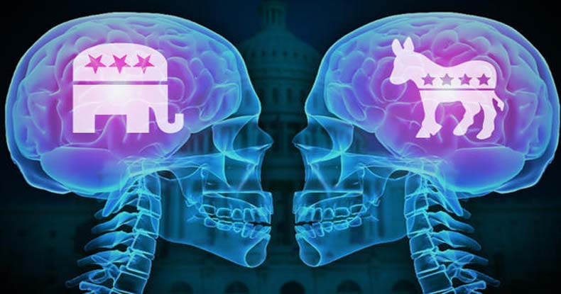 Brain Study Reveals Why Society is So Easily Controlled by Politics ...