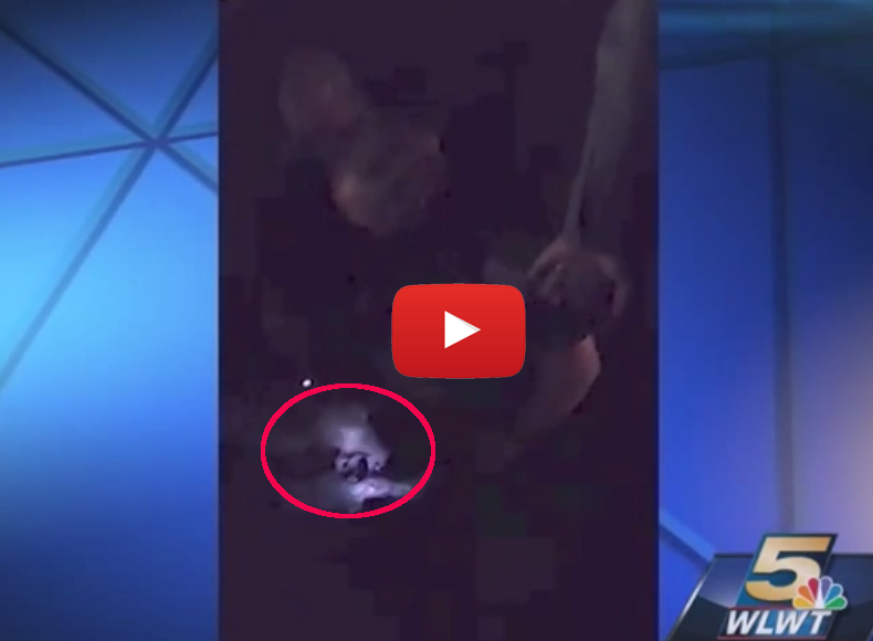 Doctor Assaulted by Police at Dying Son's Birthday, Tasered so Many ...