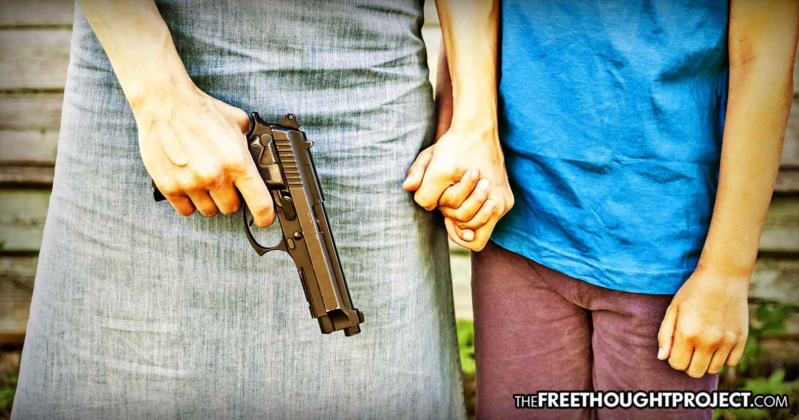 Biggest Gun Control Bill in History Targets the Poor, Will Make ...