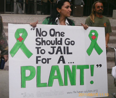 4 Police Tricks to Nab You For Pot and How You Can Beat Them