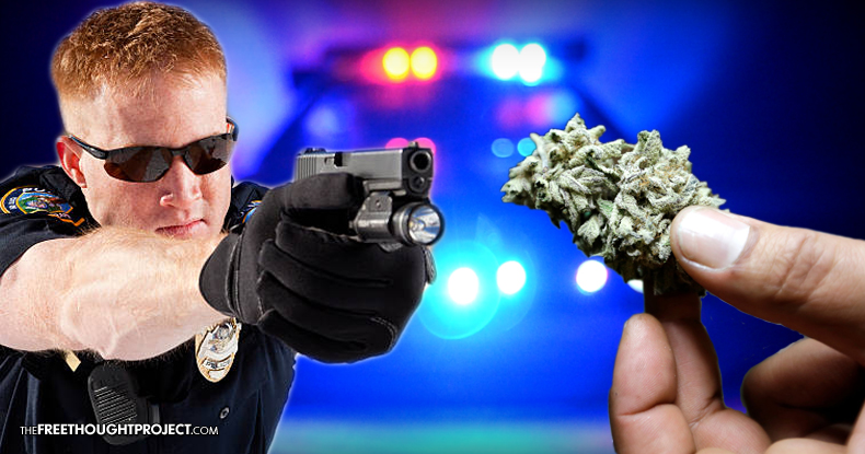 'Appalling': 3 Cops Terminated After Forcing Man to Eat Marijuana ...