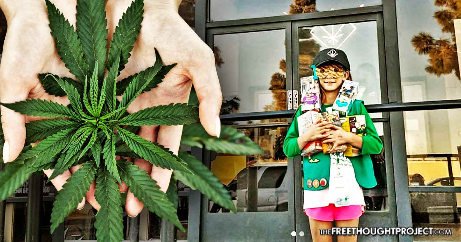 Genius Girl Scout Sells Cookies Outside Marijuana Dispensary and MAKES BANK