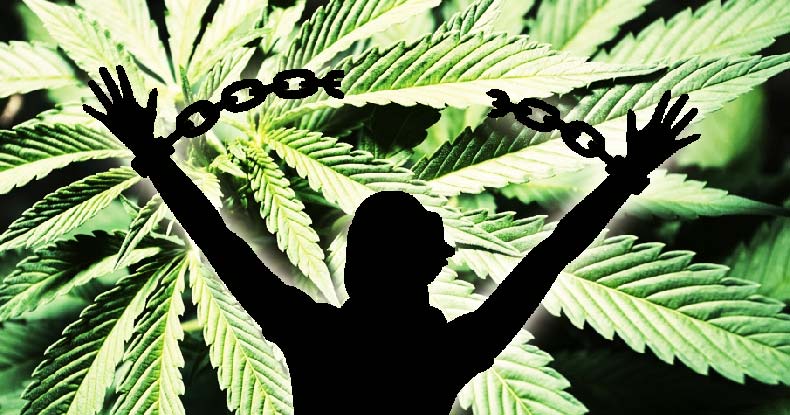 Assembly Passes Landmark Bill to Seal 800,000 Pot Convictions, Giving ...