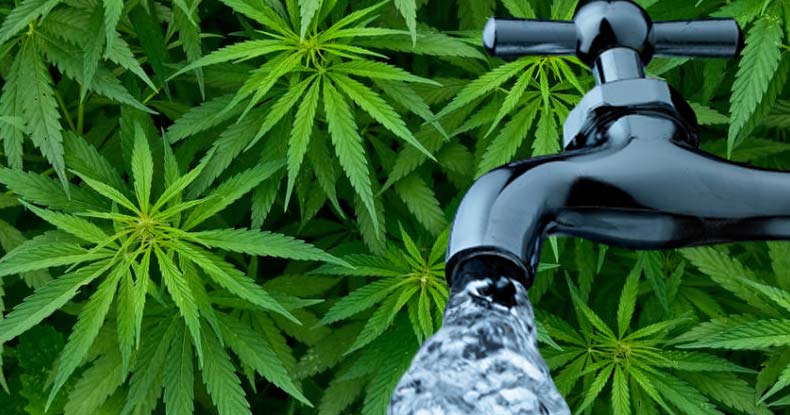 Cops Use Faulty Test Kits to Incite Fear about THC in Water Supply ...