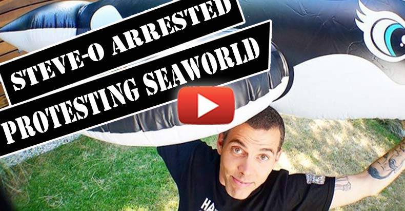 Steve-O Sentenced to Jail for Raising Awareness to Dismal Reality of ...
