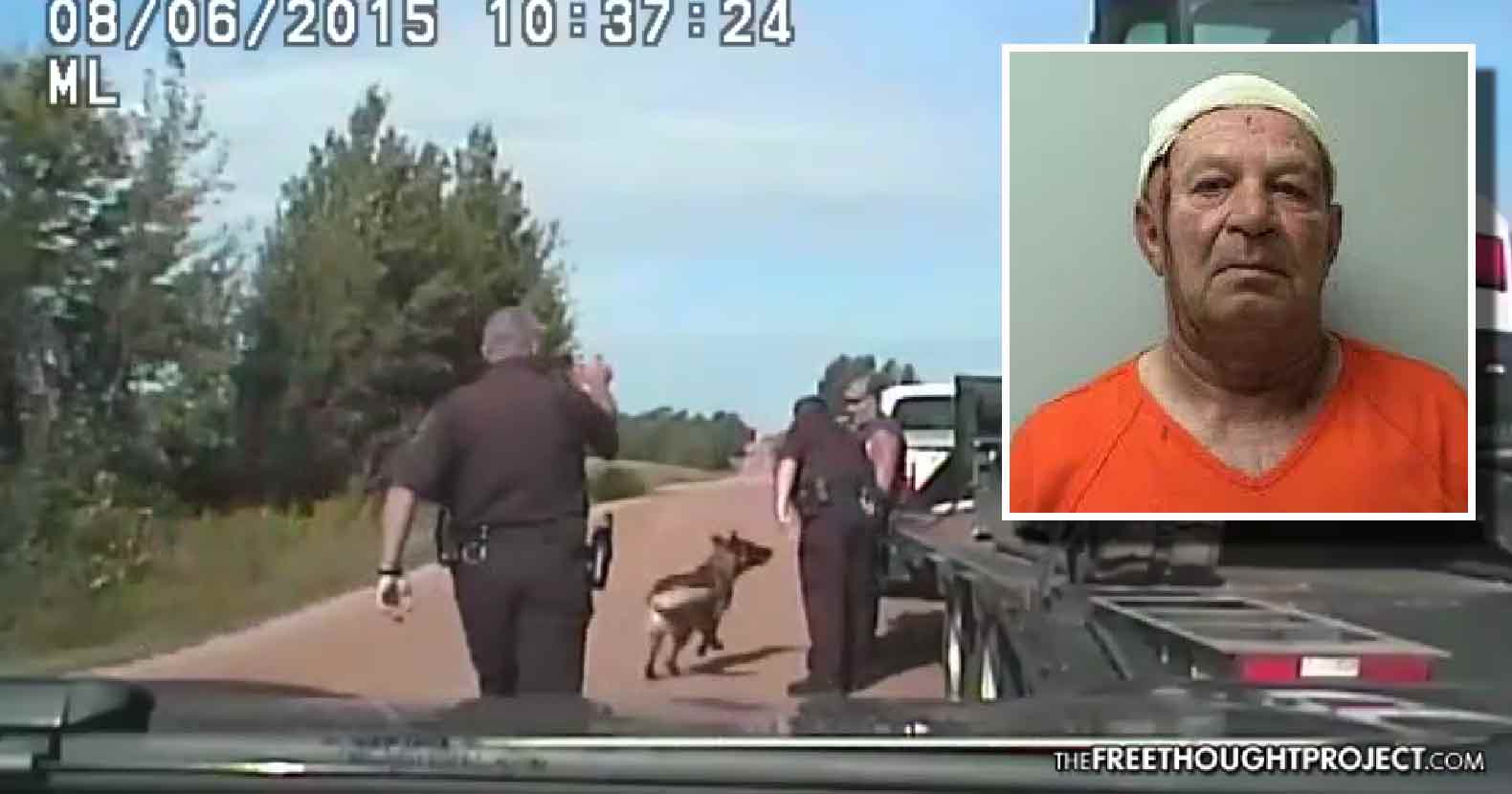 SHOCK VIDEO: Cops Force K9 to Maul 70-Year-Old Man's Head Over a DOT ...