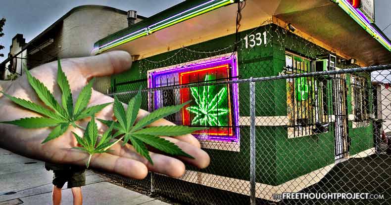 Landmark Study Shows Legal Marijuana Sales Reduce Crime
