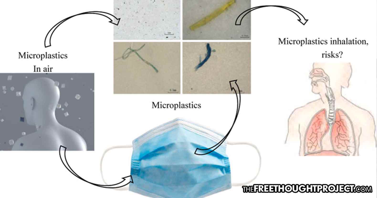 Study Shows MOST People Now Have Microplastics — Found in Disposable ...