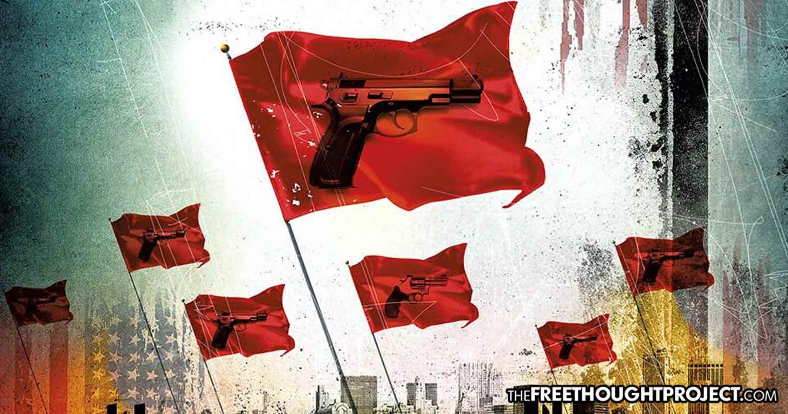 Red Flagged Nation: Gun Confiscation Laws Put A Target On Every ...