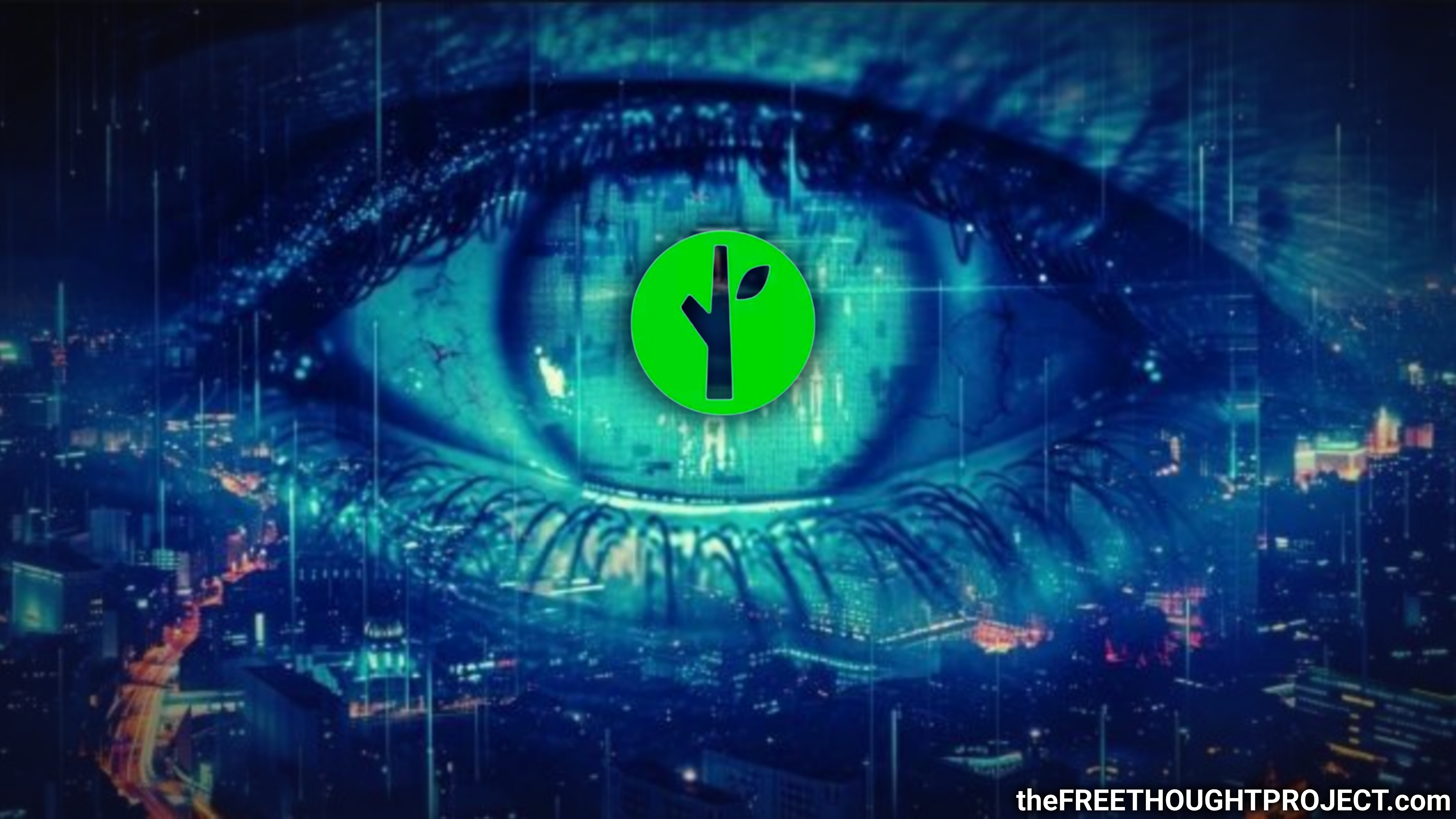 How Cops Are Using Flock Safety's ALPR Network to Surveil Protesters ...