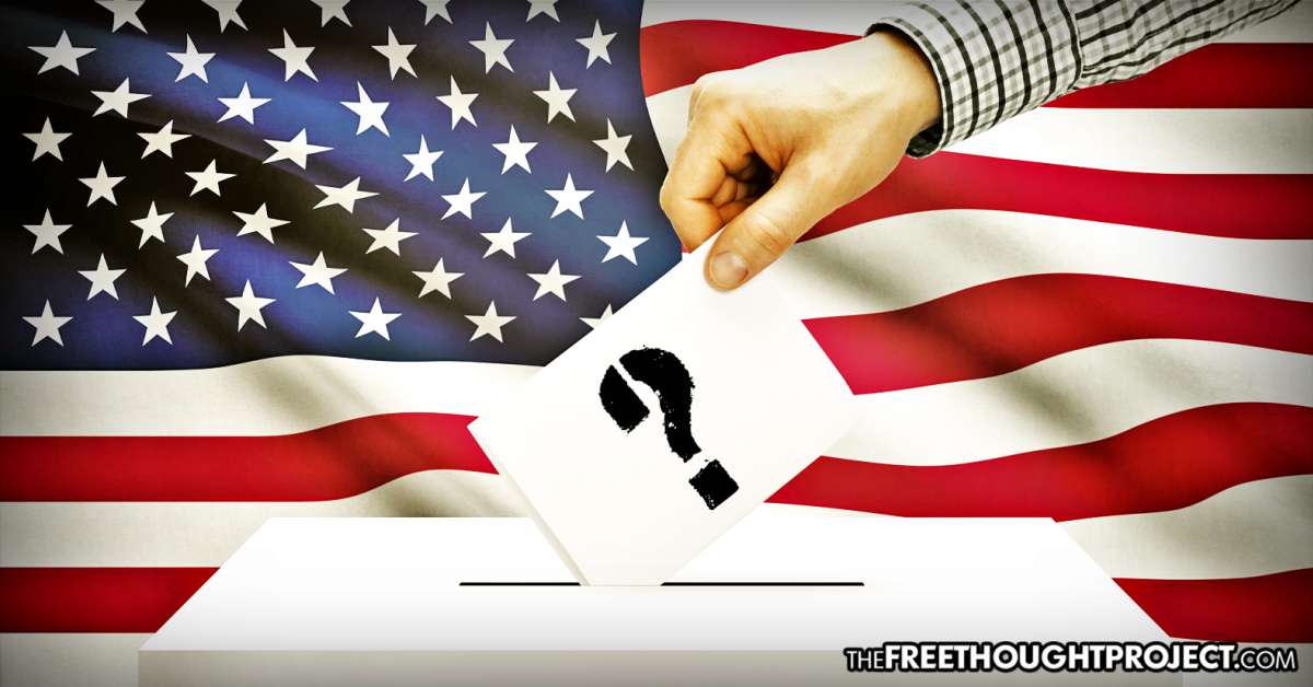 Will Voting in the Mid-Term Elections Actually Change Anything? - The ...