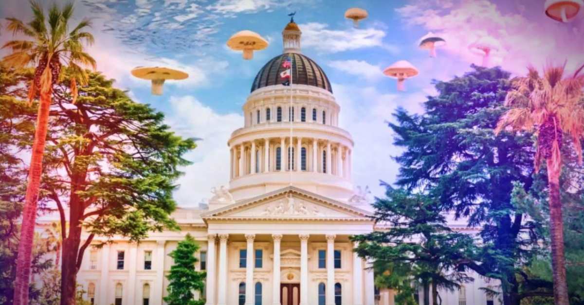 New Legislation Aims To Legalize Psychedelics In California - The Free ...