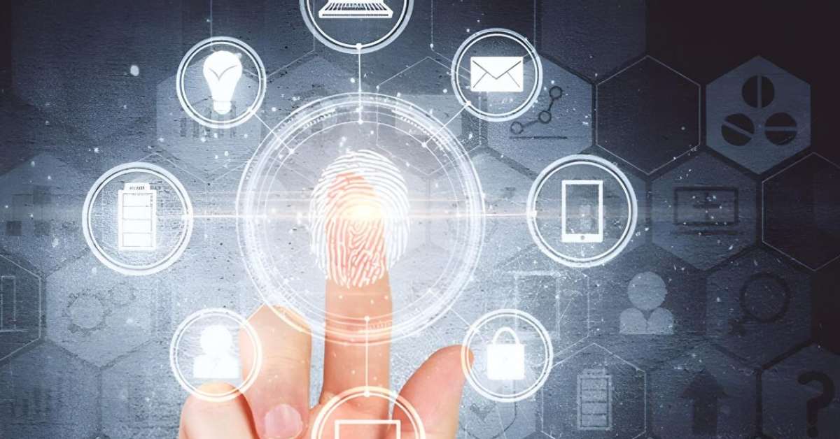 Biometric Data Collection Continues To Be On The Rise In 2024 - The ...