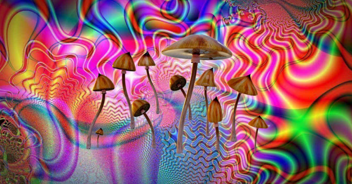 Psychedelic Drugs Are Rushing Towards Approval for Therapy. Here’s What ...