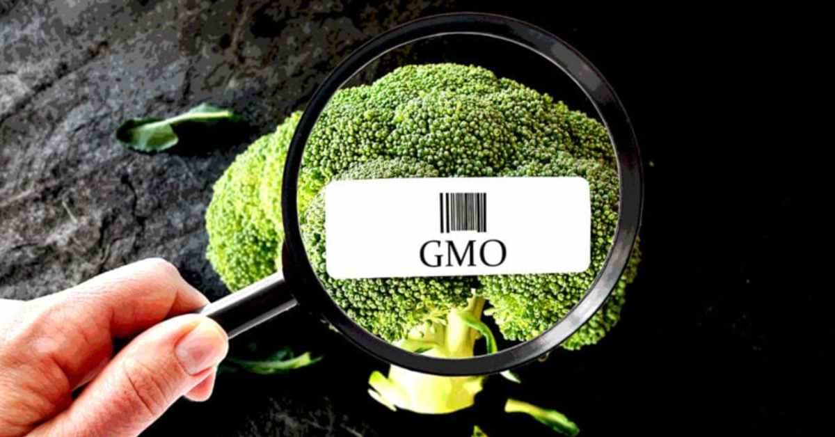 Promises Wither as GMO Crops Fail to Meet ‘Grow More with Less’ Hype - The Free Thought Project