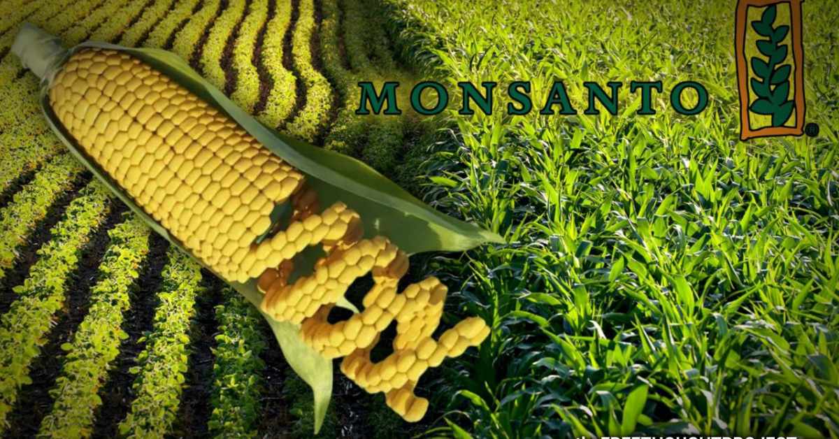 Biden Admin And ‘Mr. Monsanto’ Continue To Bully Mexico Into Accepting ...
