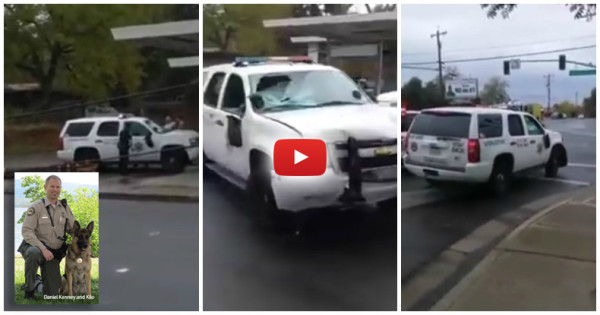 Blue Privilege in Action: Video Shows Cop Crashing into Cars & Fleeing ...