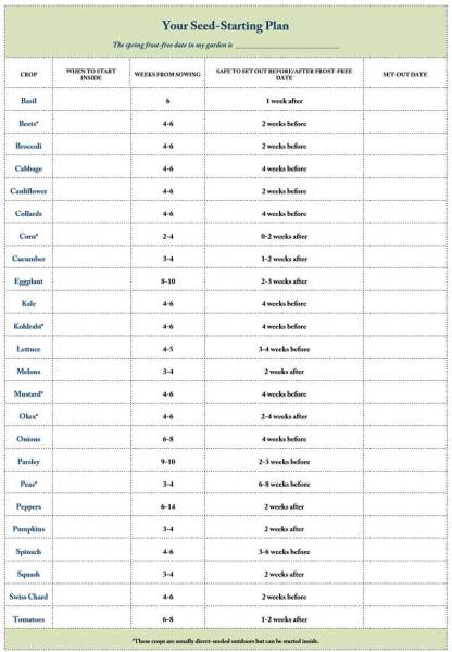 Get a Jump on Spring Gardening with DIY Seed Starting Materials and ...