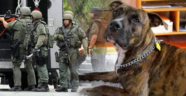 Family Raided by SWAT and their Dog Shot, for Being Unable to Pay ...