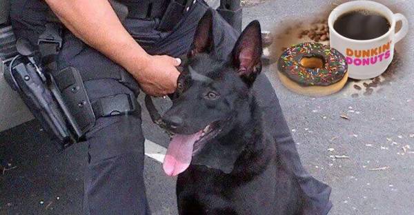 K9 Kicked Off the Force For Viciously Attacking Dunkin Donuts Employee