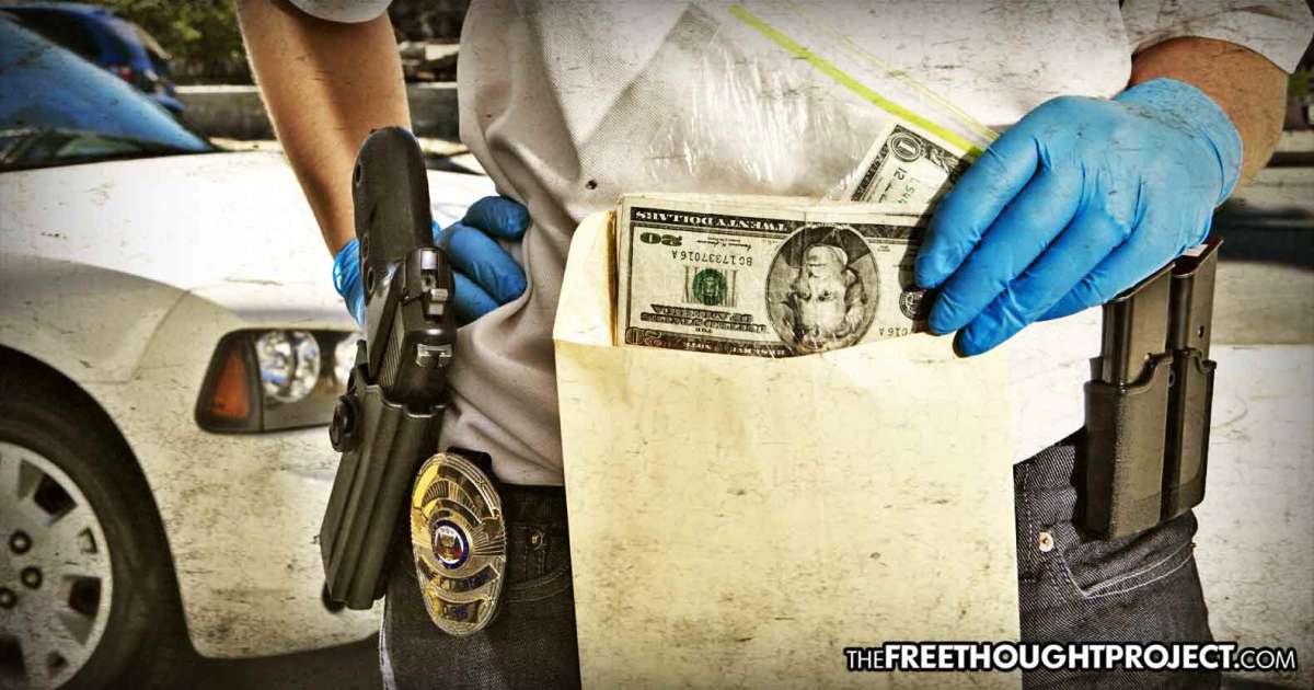 Federal Court Rules Cops Can Steal Your Stuff and it Does NOT Violate ...