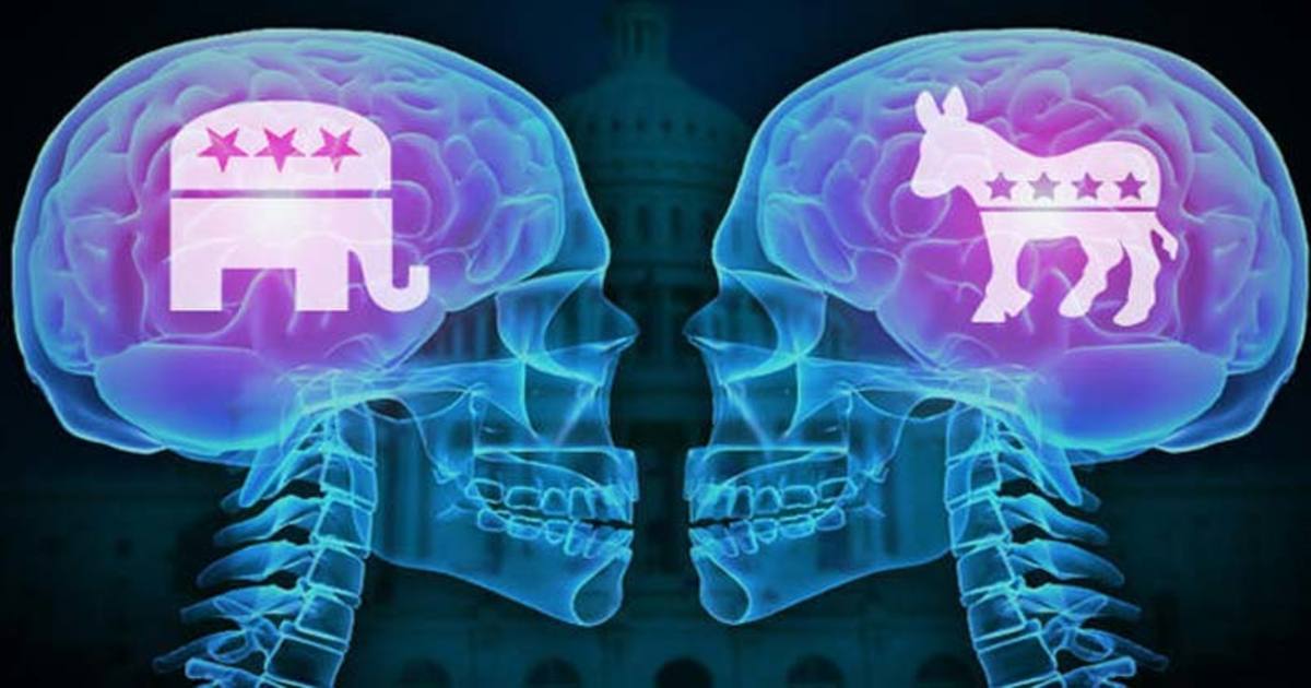 Brain Study Reveals Why Society is So Easily Controlled by Politics ...