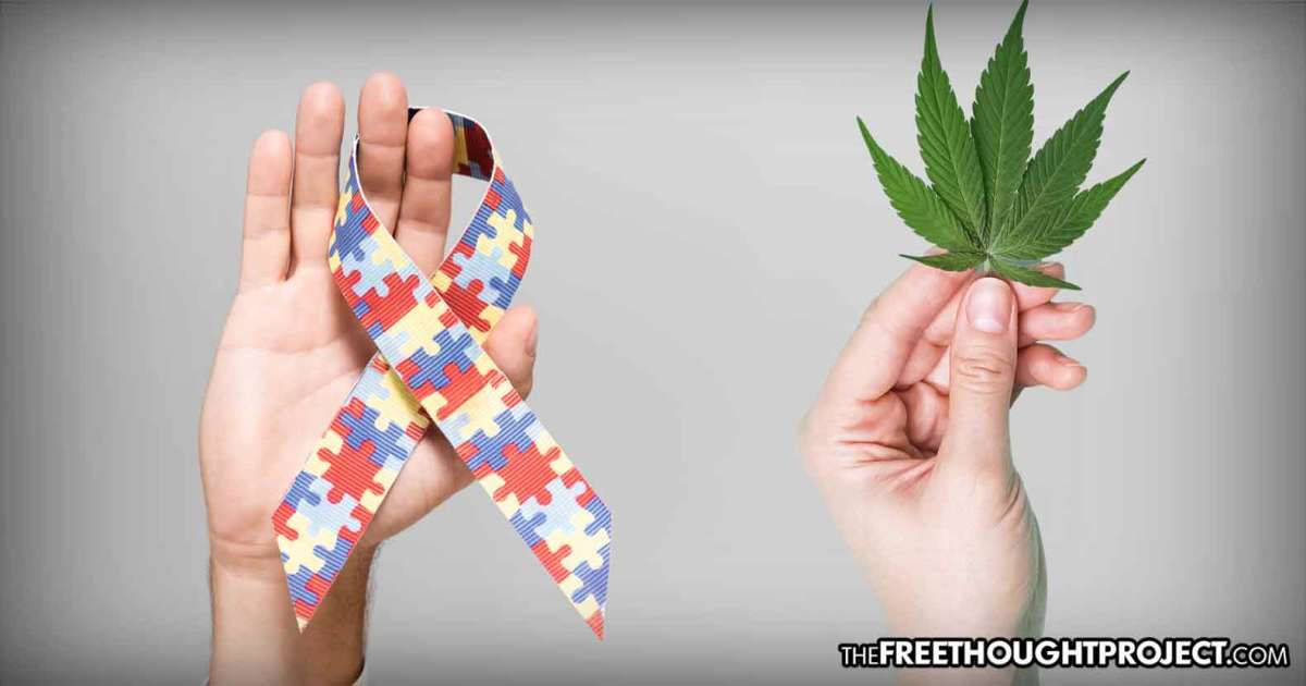 Case Study Shows Cannabis Led to Remarkable Improvement in Childhood ...