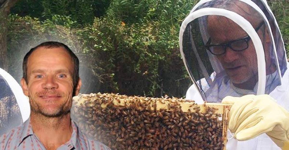 Flea's Bees: Red Hot Chili Peppers Bassist Starts Bee Sanctuary in His ...