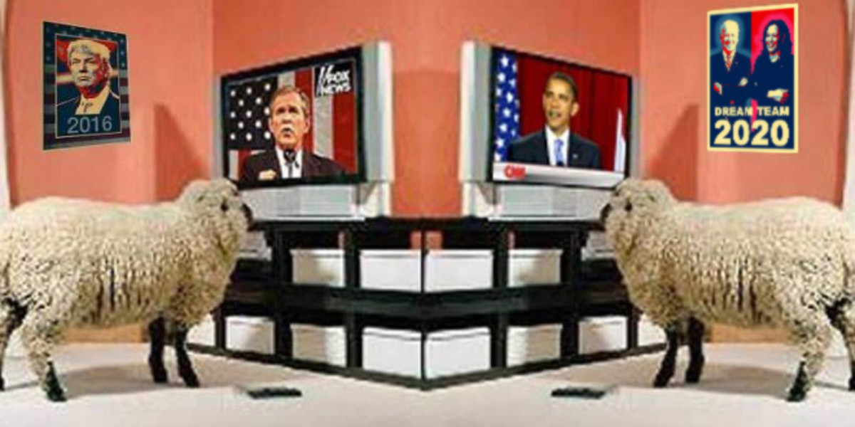 Congressman Confirms that Voting Doesn't Matter and the US Govt Thinks ...