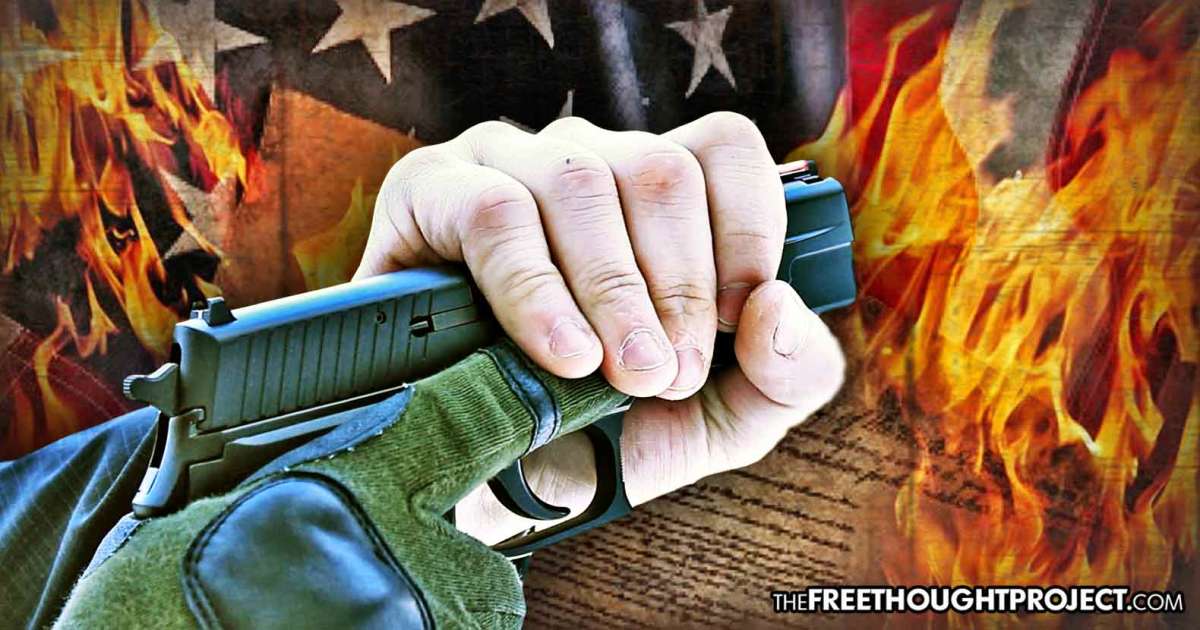 7 Reasons You Need to Stand Against Red Flag Guns Laws - The Free ...