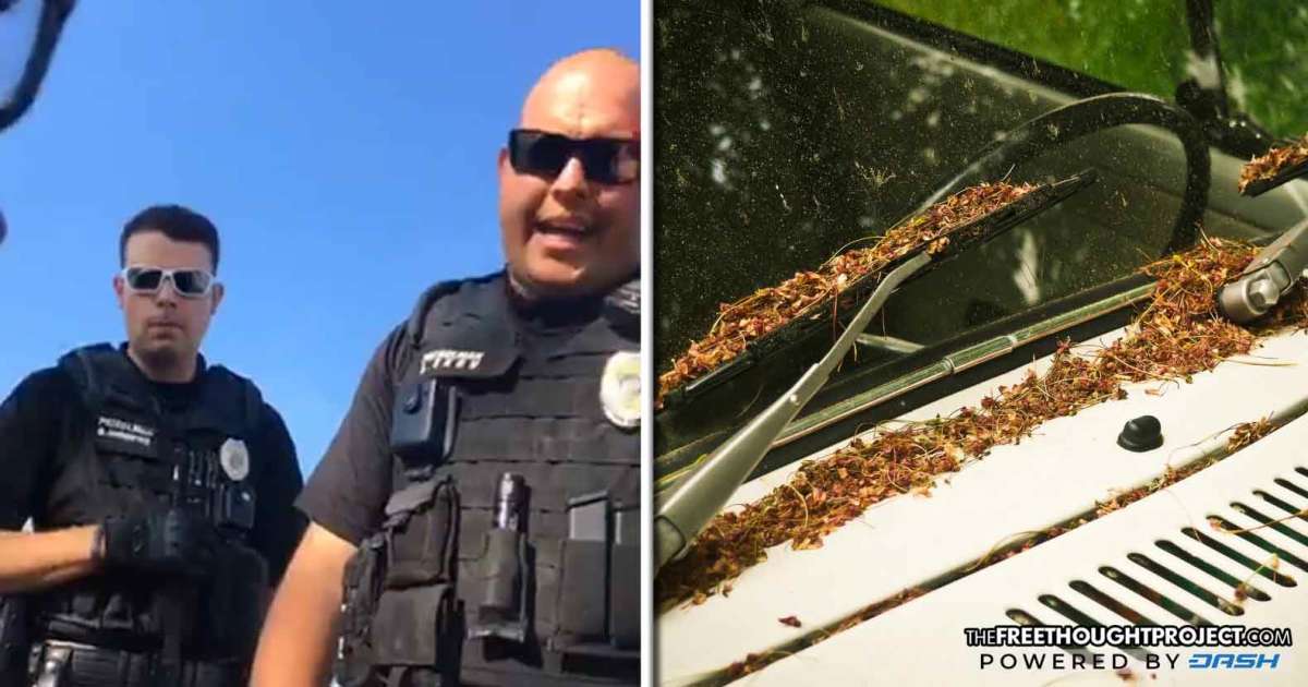 WATCH: Innocent Man Detained, Assaulted by Cops Because He Had ...