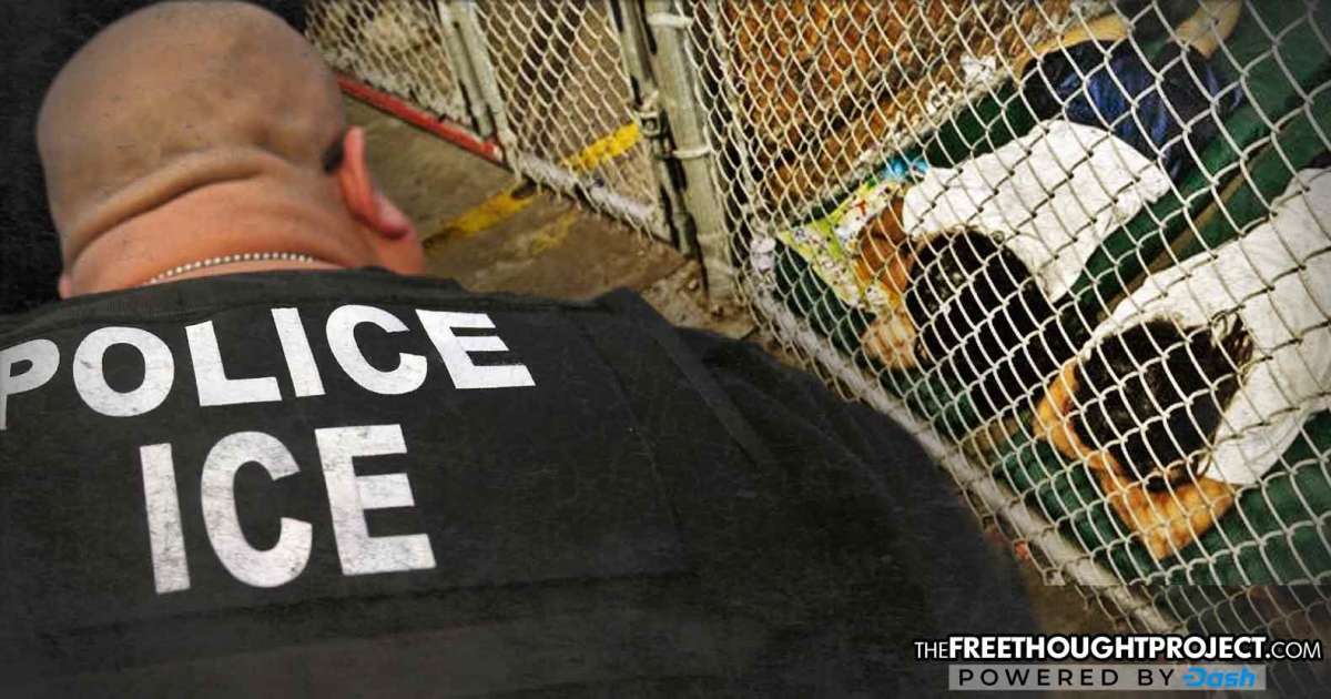 ICE Director Says Agency Can't Be Compared To Nazis, As They're 'Just ...