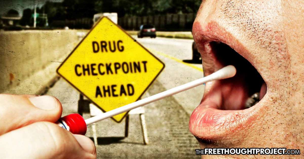 Police Using Mouth Swab Tests For Stoned Driving Despite Admitting They ...