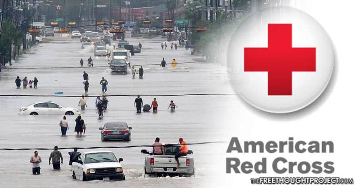Don't Trust the Red Cross, 10 Ways YOU Can Help Harvey Victims Without ...