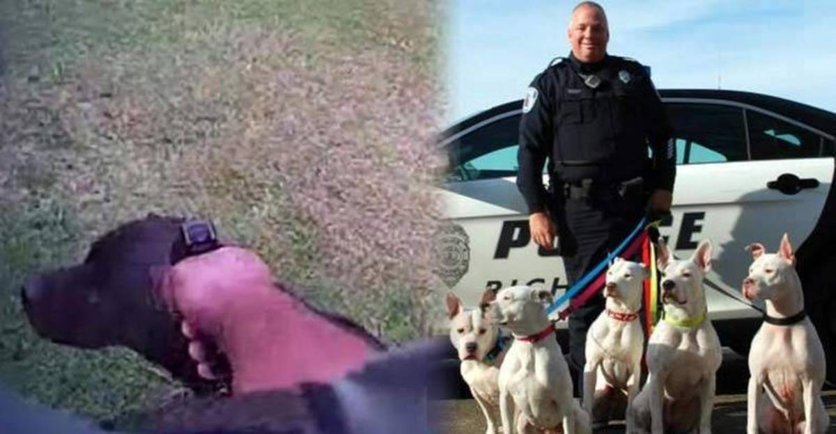 How an 8-Hour Course Transformed a Police Dept from Dog Killers to Dog ...
