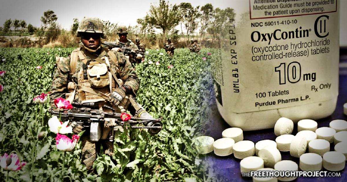 Russia Just Called Out US/NATO Role in Afghan Drug Trafficking — Media ...