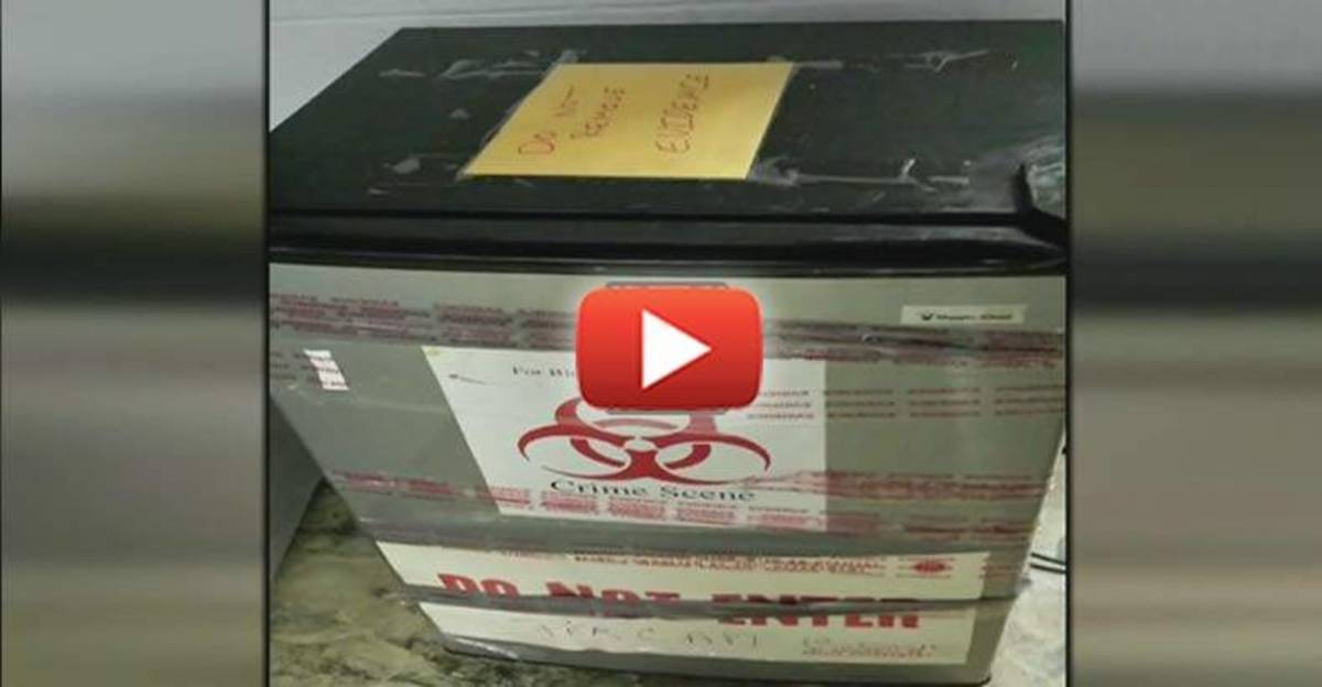 Freezer Full of Human Fetuses Discovered at Florida Police Station ...