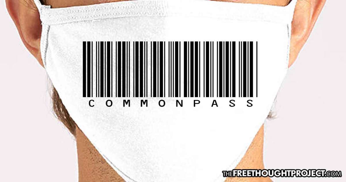 'CommonPass': New COVID-19 Security Measures Will Make Health a ...