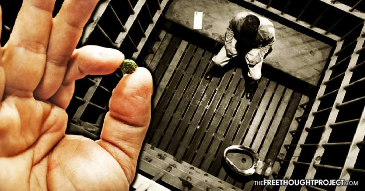 1 Year Per Gram: Man Gets Insane 18 Year Prison Sentence for Weed ...