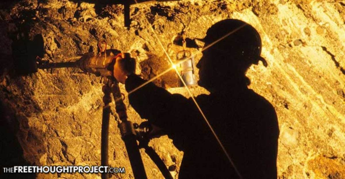 To Save Humanity's Knowledge from Extinction, Researchers are ...