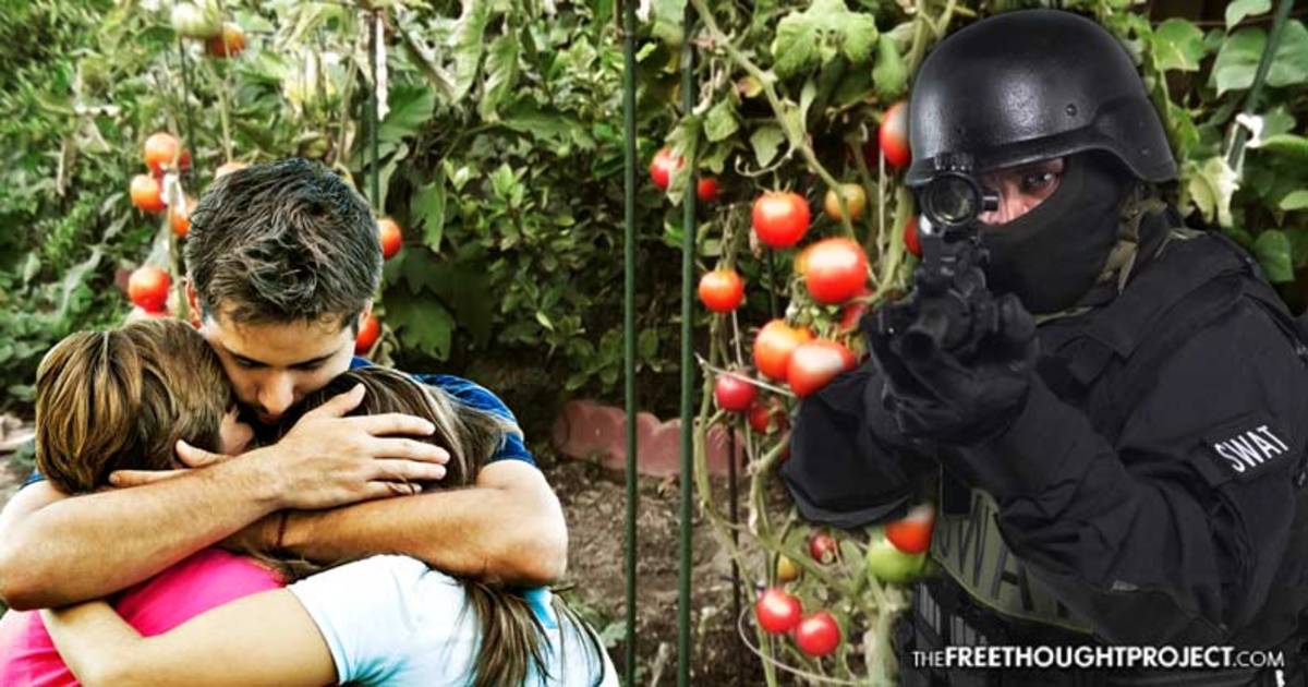 Judge Slams 'Incompetent' Cops After SWAT Raids Innocent Family for ...
