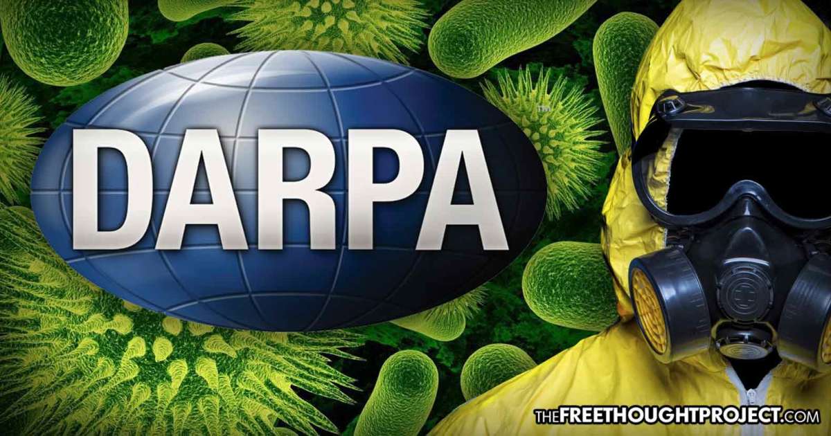 Scientists Accuse DARPA of Genetically Modifying Insects for Bioweapon ...