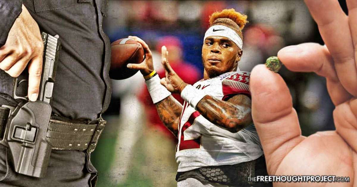 Police Go Undercover for Months, Spend Thousands to Bust FSU ...