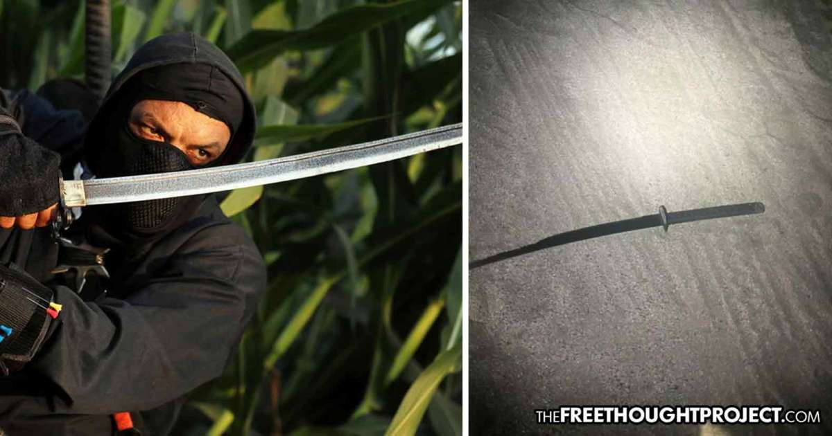 Sword-wielding man dressed in ‘full NINJA GARB’ injures 2 US special ...