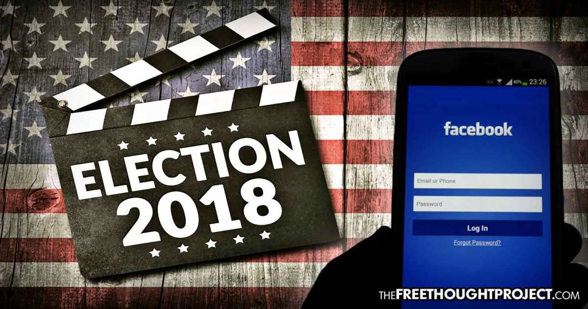 The People “Stopping Election Interference” Are the Ones Who Are ...