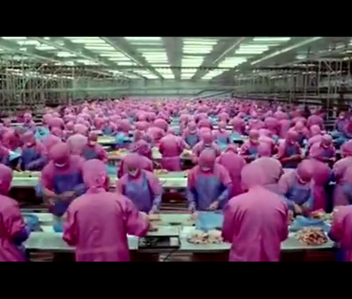 Perhaps the Most Eye Opening 6 Minutes of Video Ever on Film - The Free ...