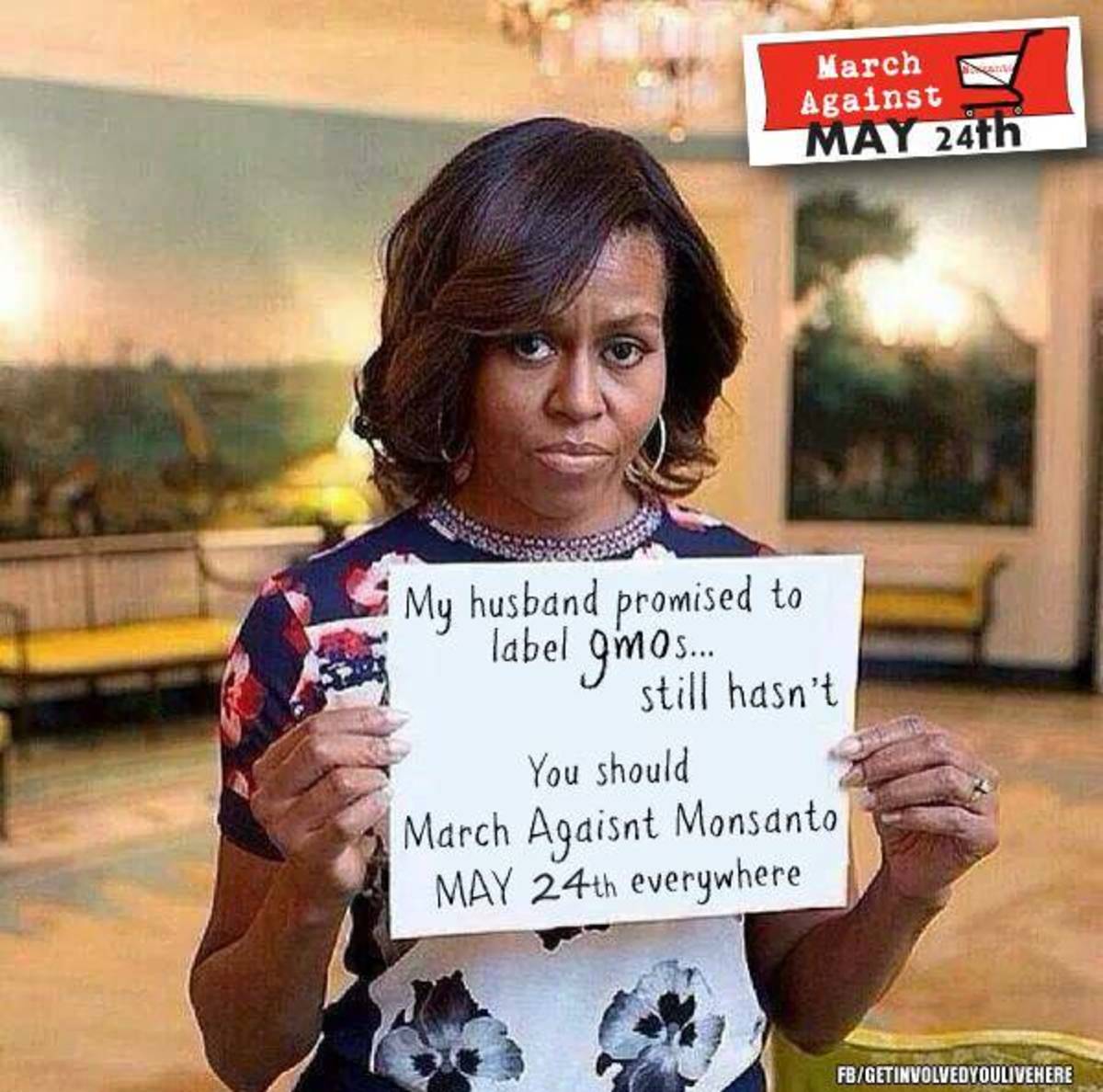 Hey Barack Obama, Remember When You Promised to Label GMOs? - The Free ...