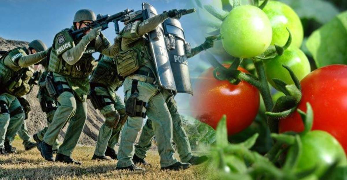 Police Hit Organic Farm with Massive SWAT Raid for No Reason, Taxpayers ...