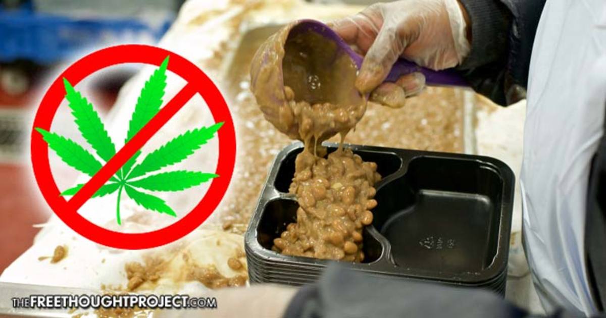 Prison Food Contractors Exposed for Funding Efforts To Make Sure People ...