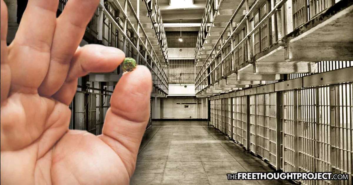 U.S. Veteran Sentenced to Life in Prison for Selling Less Than a Gram ...